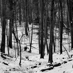 Cold Spring Harbor State Park - 71 Photos & 36 Reviews - Hiking - 83 ...