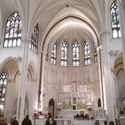 The Cathedral Basilica of the Immaculate Conception - 57 Photos & 19 ...