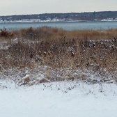 Oakland Beach - 61 Photos & 37 Reviews - Parks - Oakland Beach Ave ...