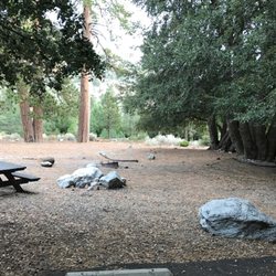 Crystal Lake Camp Ground - 90 Photos & 34 Reviews - Campgrounds - San ...