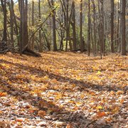 Callahan State Park - 37 Photos & 33 Reviews - Parks - Millwood St ...