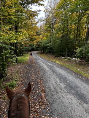 Round Top, NY Map & Directions - MapQuest