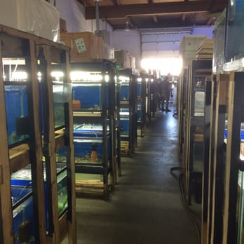 Fish Addicts - Pet Stores - 5676 Production Way, Langley, BC - Phone ...
