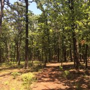 Tyler State Park - 50 Photos & 28 Reviews - Parks - 789 Park Rd 16 ...
