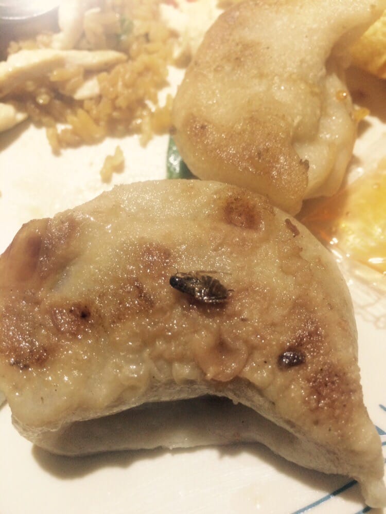 Happy Fortune - 11 Reviews - Chinese - 1030 Forrest Ave, Dover, DE ...