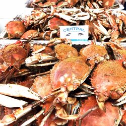Central Fish Market - 17 Photos - Seafood Markets - 3701 Central Ave ...