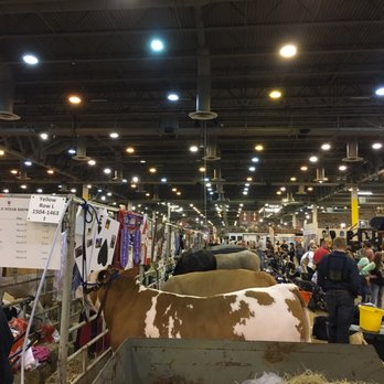 Houston Livestock Show and Rodeo - 720 Photos & 195 Reviews - Rodeo - 3 ...
