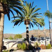 All Access Tree Care - 56 Photos & 92 Reviews - Tree Services - 289 ...