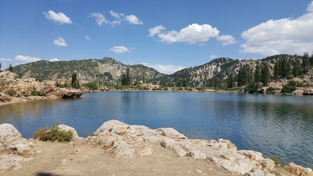 Cecret Lake - 54 Photos & 13 Reviews - Hiking - 8595 Albion Basin Rd ...