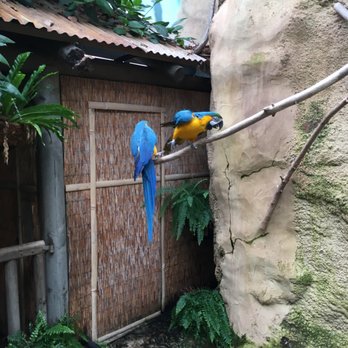 Henry Vilas Park Zoo - 270 Photos & 171 Reviews - Zoos - 702 S Randall ...