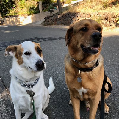 Target - CLOSED, 2650 Broadway, Oakland, CA, Department stores - MapQuest