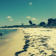 Shell Island White Sand Beach - 19 Photos & 12 Reviews - Beaches - 4607 ...