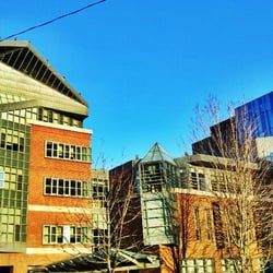 Rotman School of Management at the University of Toronto - 2019 All You ...