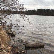 Lake Benson Park - 29 Photos & 16 Reviews - Parks - 921 Buffaloe Rd ...