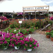 Russell Farms - 16 Photos - Farmers Market - 1488 Hawleyton Rd ...
