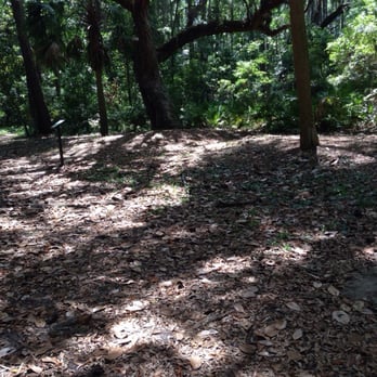 Native American Shell Ring - 12 Photos - Landmarks & Historical ...