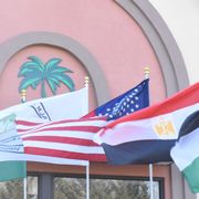 Palm Tree School - Elementary Schools - 8900 Lee Hwy, Fairfax, VA ...