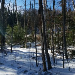 Bingham Falls - 43 Photos & 17 Reviews - Hiking - Rt 108, Stowe, VT - Yelp