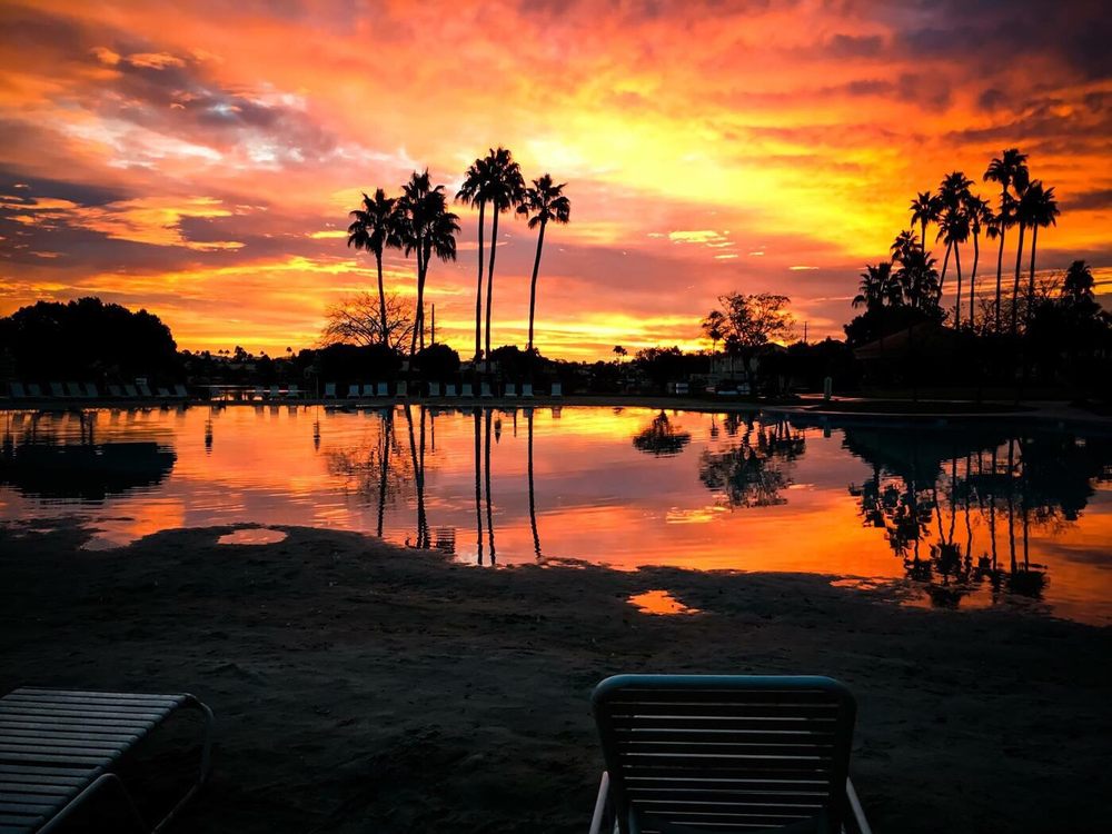 Winter in Phoenix - 16 Photos & 28 Reviews - Local Flavor - 85013 ...