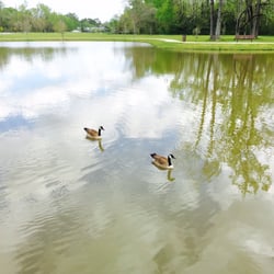 Forest Community Park - 18 Photos & 11 Reviews - Parks - Millervelle ...