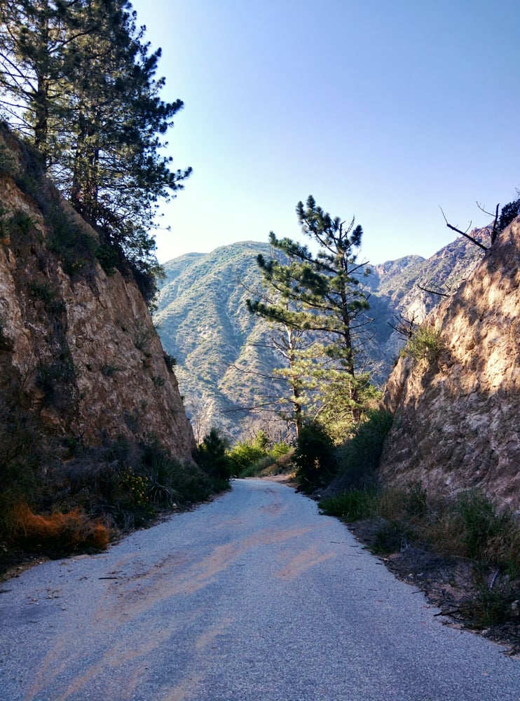Sunset Ridge Trail - 18 Photos - Hiking - Altadena, CA - Yelp
