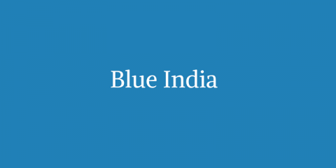 Blue India - Bars - 933 Peachtree St NE, Midtown, Atlanta, GA ...