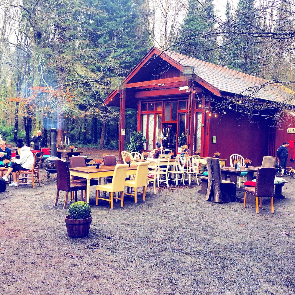 Donadea Forest Park - Parks - Donadea, Donadea, Co. Kildare, Republic ...