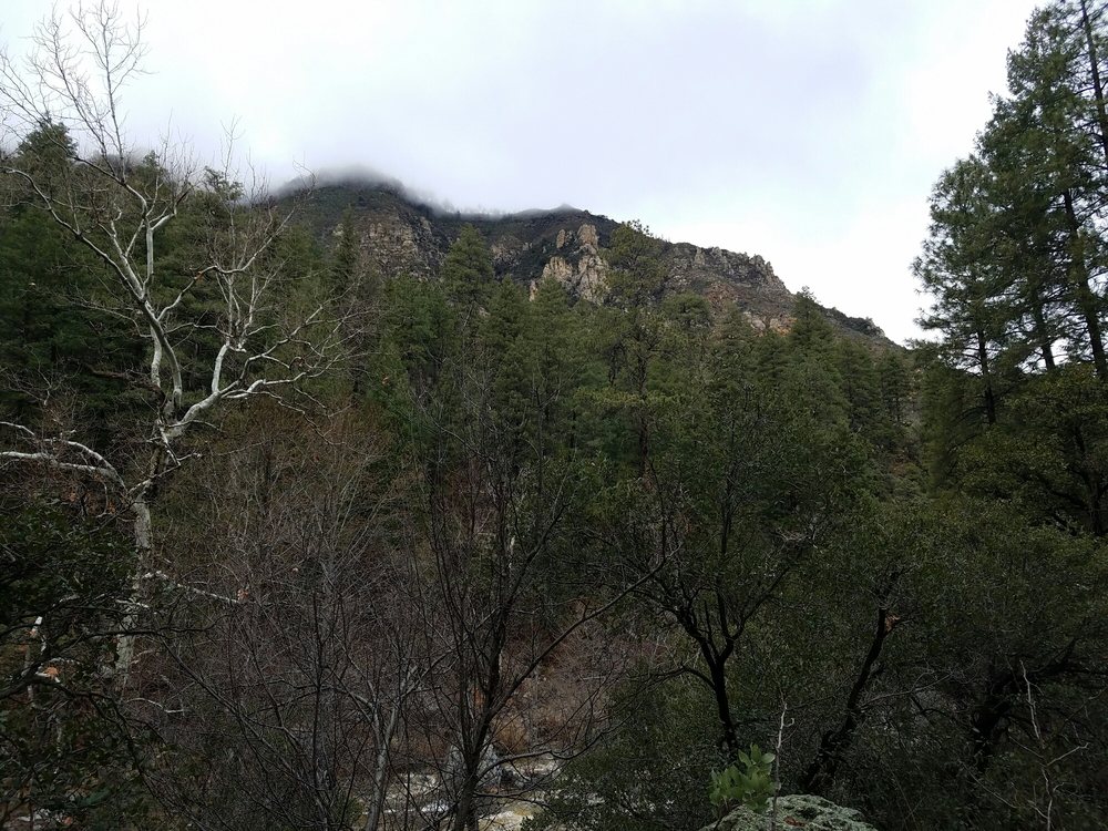 Bootlegger Picnic Area - Hiking - Arizona 89A, Sedona, AZ - Yelp