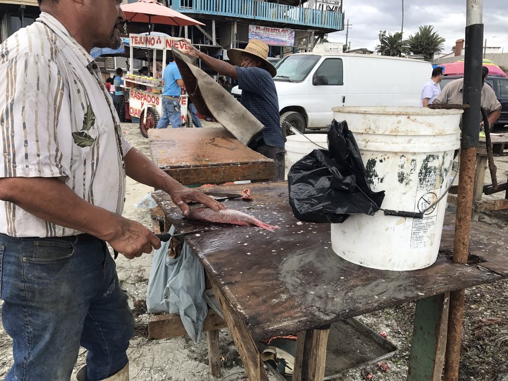 Playa de Popotla - 127 Photos & 18 Reviews - Beaches - Carr. Tijuana ...