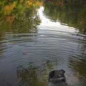 Carpenter Lake Nature Preserve - 108 Photos & 26 Reviews - Hiking - 10 ...