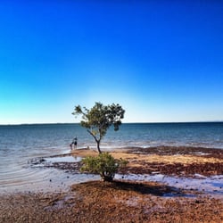 Wellington Point Recreation Reserve - Parks - 2A Main Rd, Wellington ...