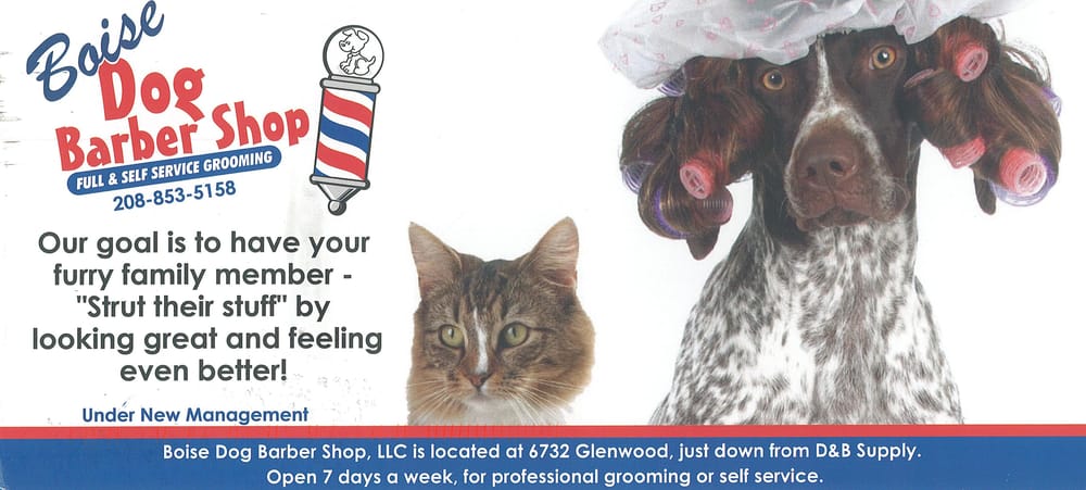 Boise Dog Barber Shop - 12 Reviews - Pet Training - 6732 N Glenwood St ...