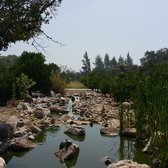 CSUN Pond - 304 Photos & 68 Reviews - Parks - 18111 Nordhoff St ...