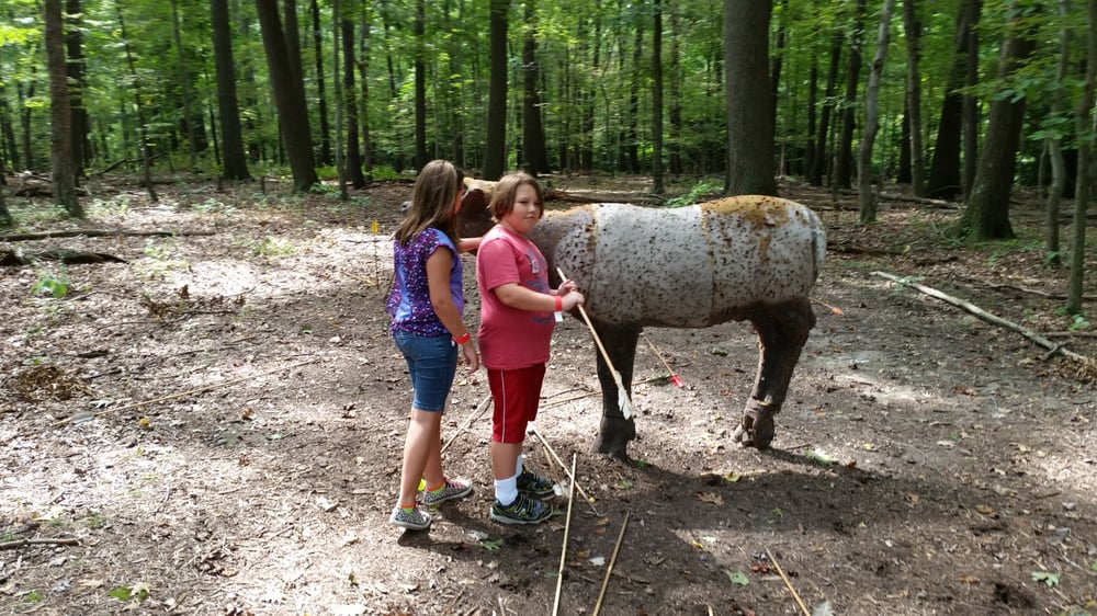 Meadowcroft Rockshelter and Historic Village - 59 Photos - Landmarks ...