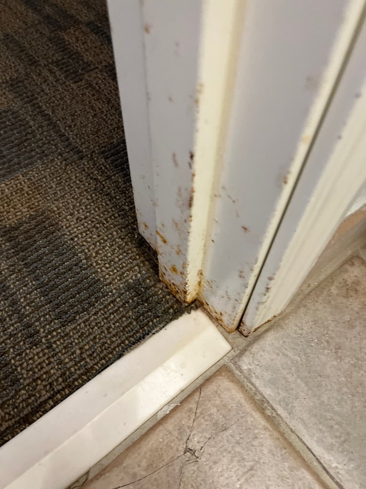 Fort Lewis Army Base in Pierce, WA | MilitaryBases.com