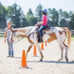 Camp Timber-lee - 29 Photos - Summer Camps - N8705 Scout Rd, East Troy ...