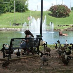 Spring Park - 18 Photos - Parks - 800 Woodmont Dr, Tuscumbia, AL - Yelp