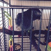 Magnolia Bird Farm - 41 Photos & 56 Reviews - Pet Stores - 12200 ...