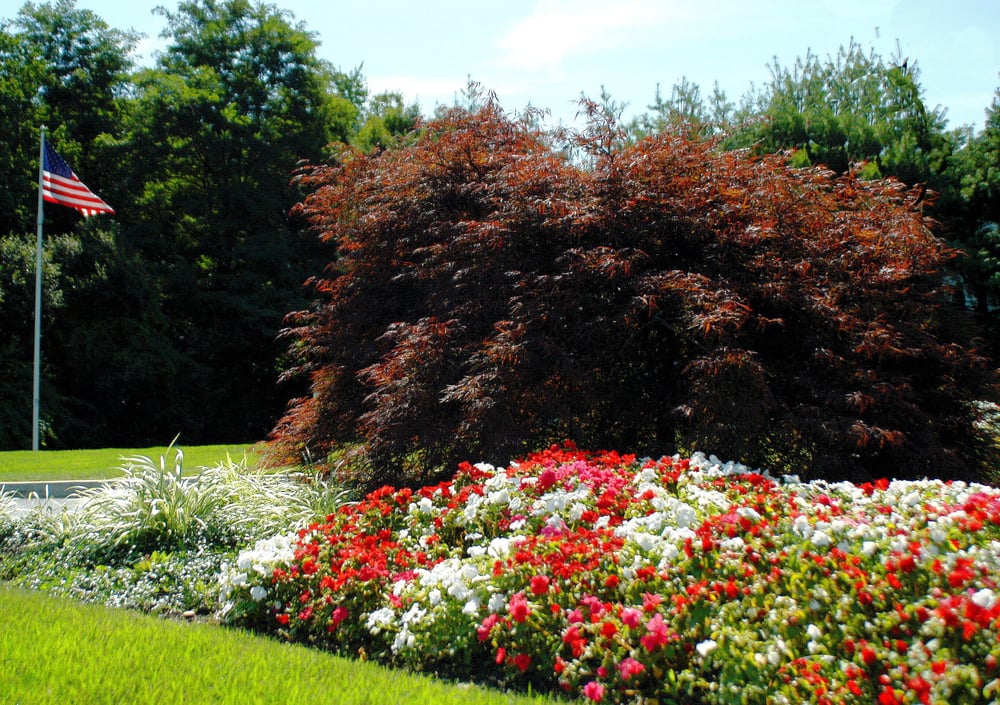 High Tech Landscapes - 17 Photos - Landscaping - 10 Culnen Dr ...