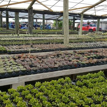 Isaac Farms - 249 Photos & 46 Reviews - Nurseries & Gardening - 18800 ...