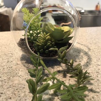 Boba Theory - 35 Photos & 18 Reviews - Coffee & Tea - 1585 Lake Harbin ...