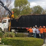 Rancho Tree Service - 21 Photos - Tree Services - Bakersfield, CA ...