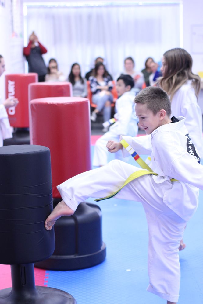 White Tiger Taekwondo Academy - 11 Photos - Taekwondo - 15410 S ...