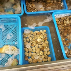 Ocean Plus Fish Market - 302 Photos & 44 Reviews - Seafood Markets ...