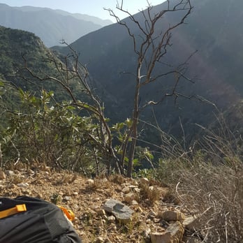 Trail Canyon Falls - 165 Photos & 37 Reviews - Hiking - Trail Canyon Rd ...