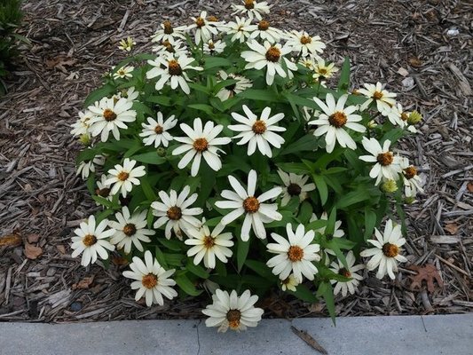 Nowthen, MN Map & Directions - MapQuest