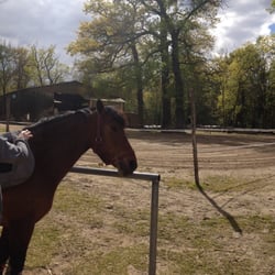 Bayard Ucpa Centre Equestre - Horseback Riding - Vincennes, Paris ...