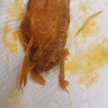 Hotlanta Wings and Things - 118 Photos & 375 Reviews - American ...