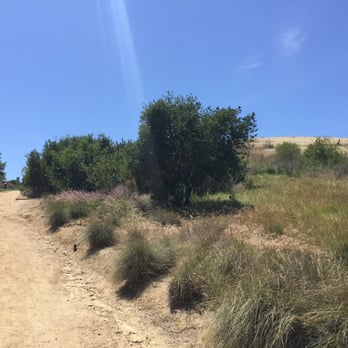 Quail Hill Trailhead - 190 Photos & 80 Reviews - Hiking - 34 Shady ...