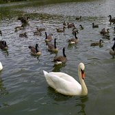 Kissena Park - 381 Photos & 81 Reviews - Parks - 164th St & Oak Ave ...